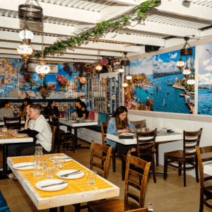 About Us – Turkuaz Turkish Cuisine